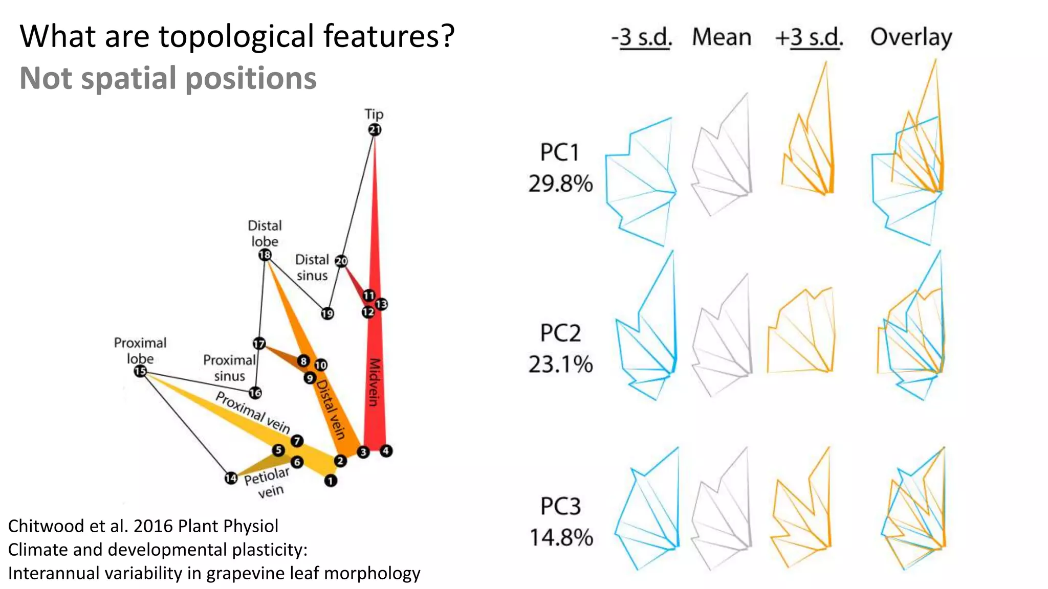Topological Data Analysis What is it? What is it good for? How can it ...
