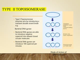 Topological manupilation of DNA.pptx