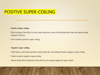 Topological manupilation of DNA.pptx