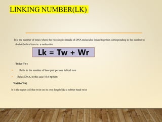Topological manupilation of DNA.pptx