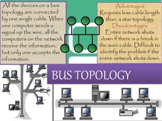 BASIC NETWORKING TOPOLOGIES | PPT