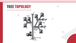 Topology in Computer Network.pptx