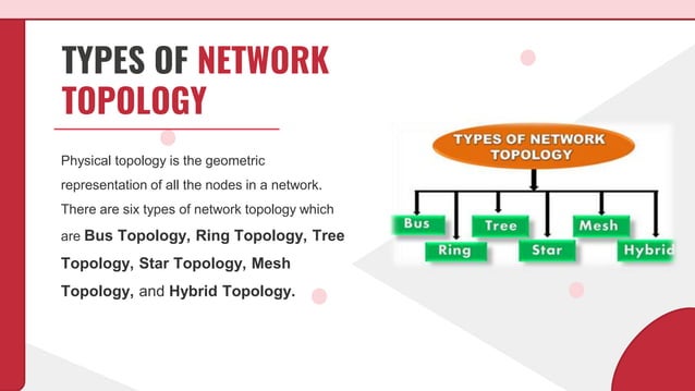 Topology in Computer Network.pptx | Computer Networking | Computing