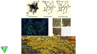 📐Topology Optimization (For Structural Engineers) #0E007BBAA | PPTX