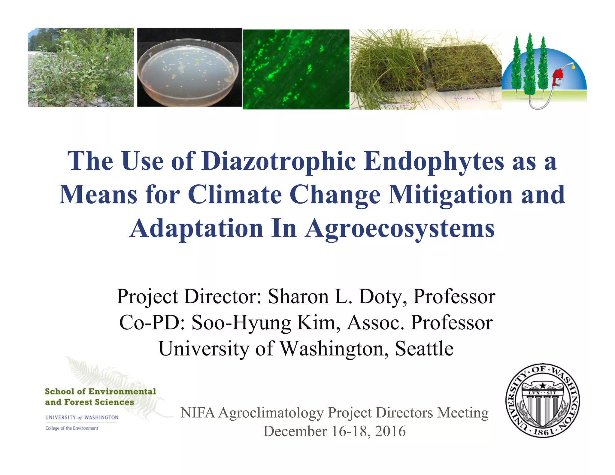 The Use of Diazotrophic Endophytes as a Means for Climate Change ...