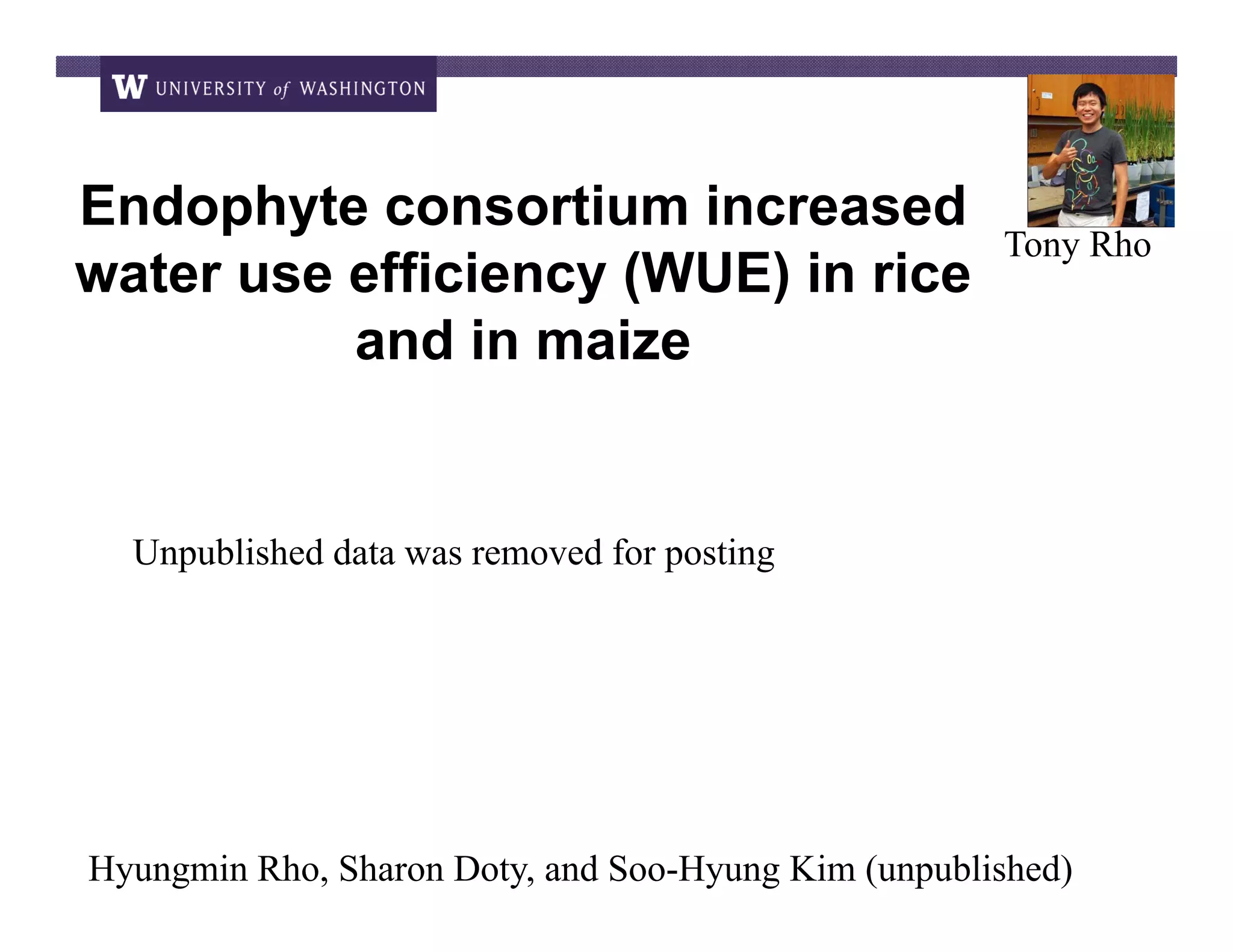 The Use of Diazotrophic Endophytes as a Means for Climate Change ...