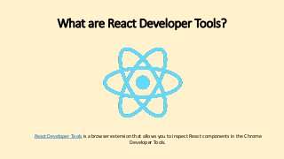 Top React Developer Tools.pptx