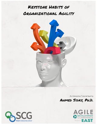 Keystone Habits of Organizational Agility | PDF