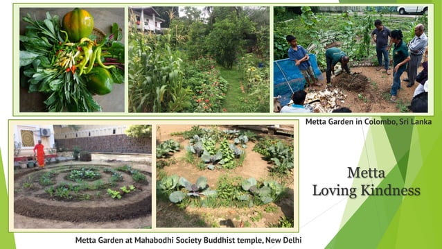 topsi-SIMPLICITY, SPIRITUALITY AND SUSTAINABILITY | PDF