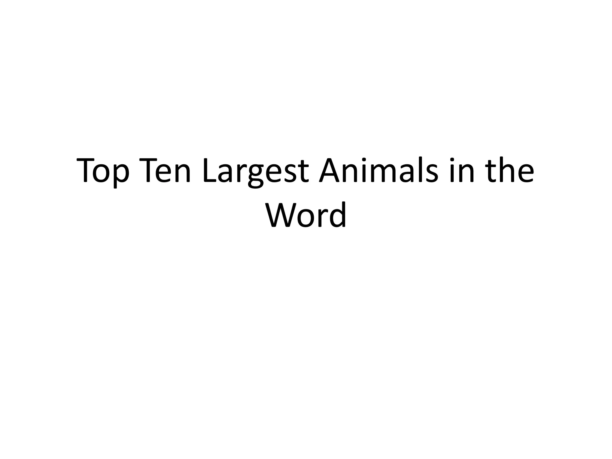 Top ten largest animals in the word | PPTX | Large Animals | Pets
