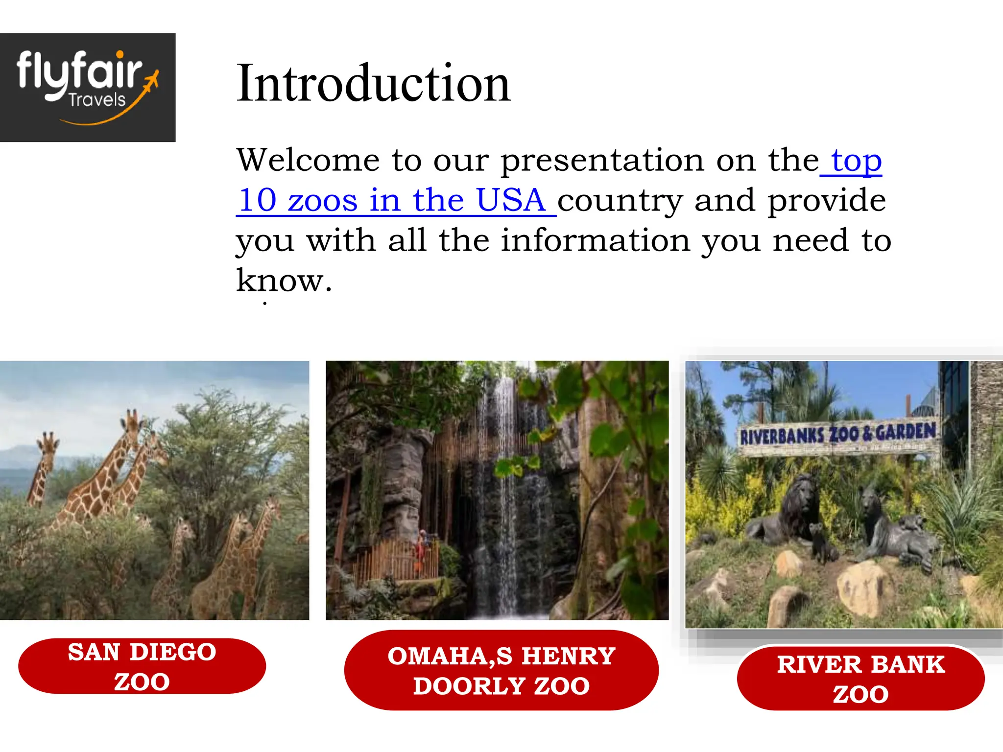 THIS POST WILL TAKE A LOOK AT THE TOP 10 ZOOS IN USA | PPT