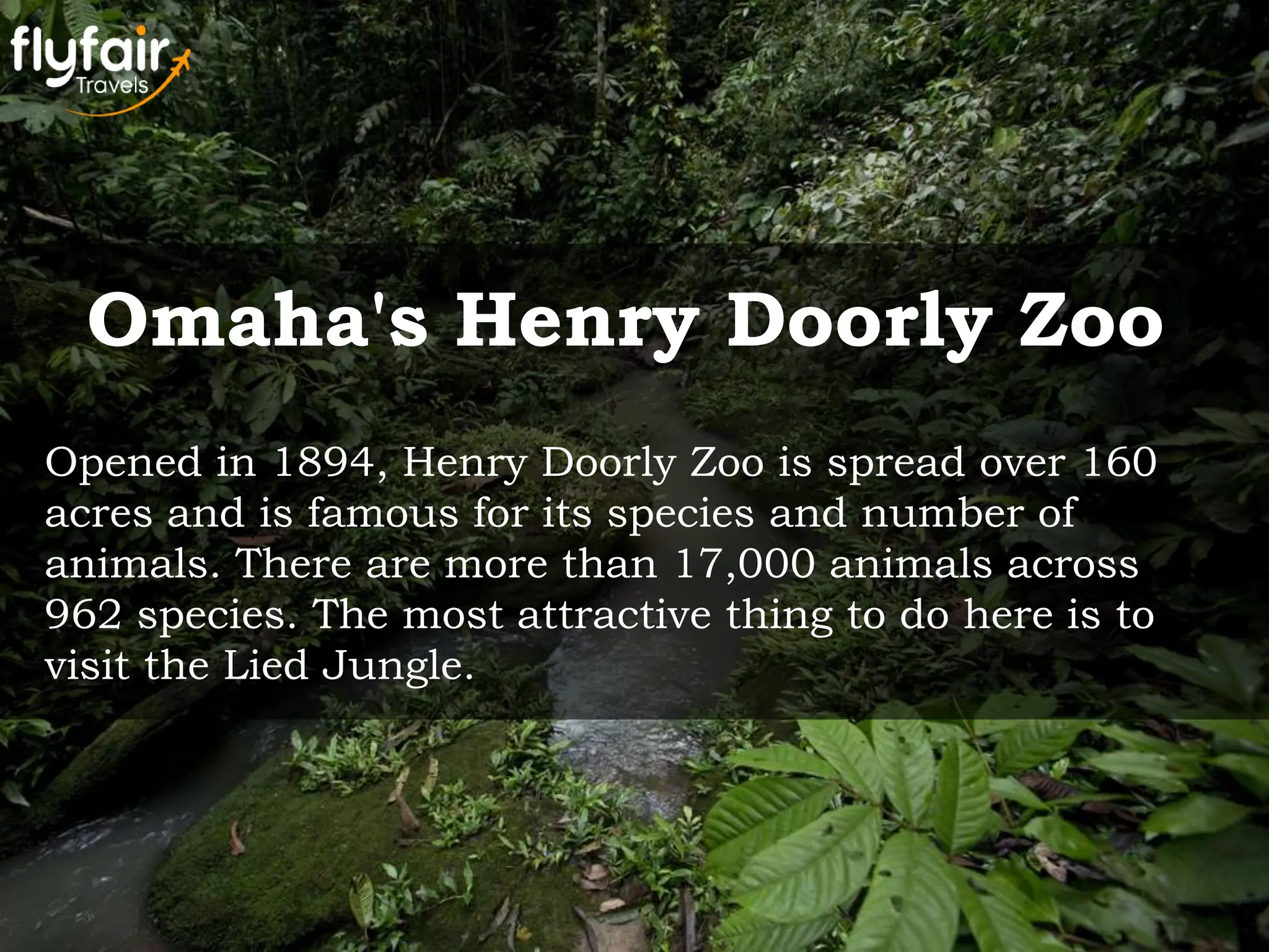 THIS POST WILL TAKE A LOOK AT THE TOP 10 ZOOS IN USA | PPT