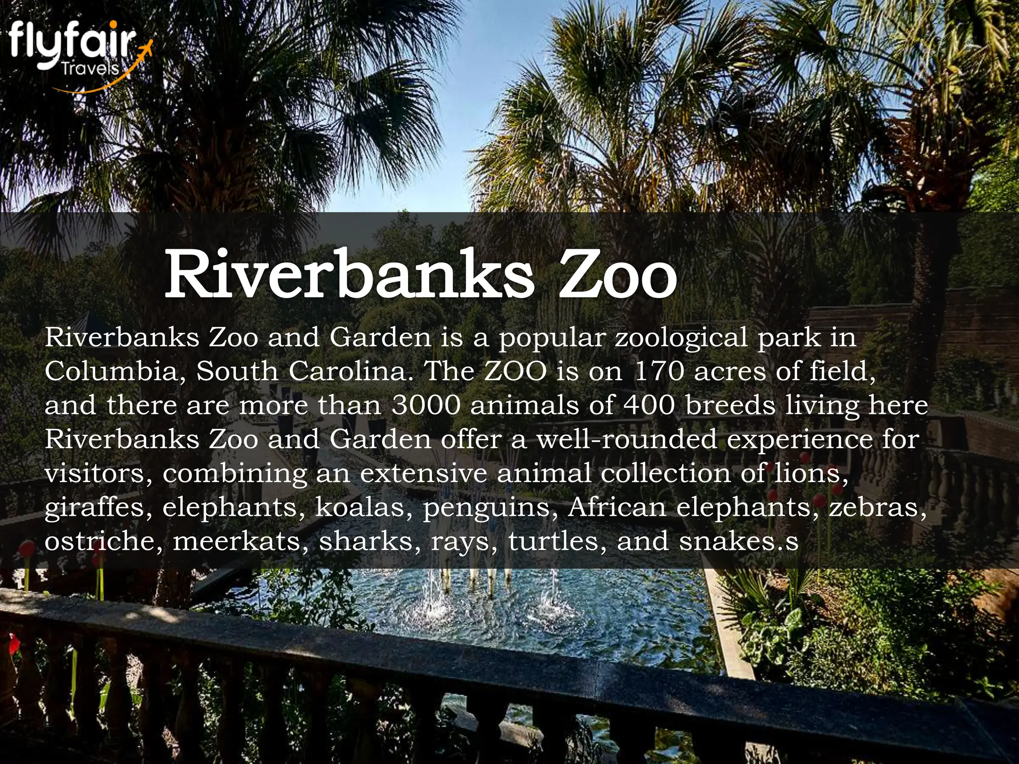 THIS POST WILL TAKE A LOOK AT THE TOP 10 ZOOS IN USA | PPT
