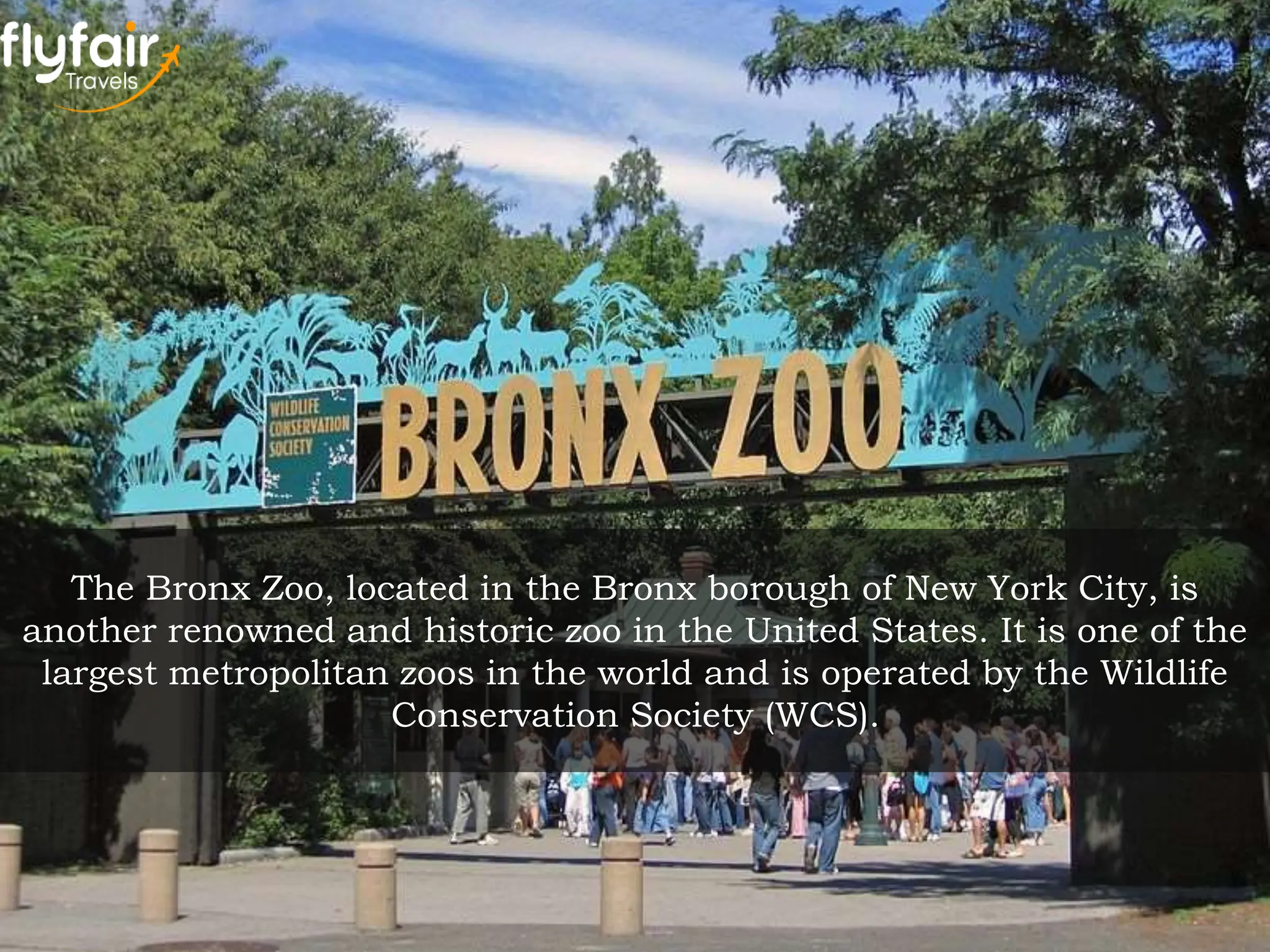 THIS POST WILL TAKE A LOOK AT THE TOP 10 ZOOS IN USA | PPT