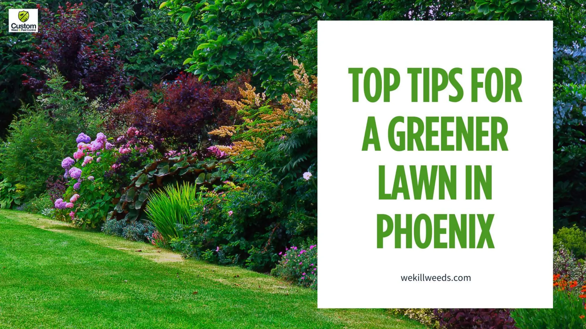Top Tips for a Greener Lawn in Phoenix - Custom Weed & Pest Control | PPT