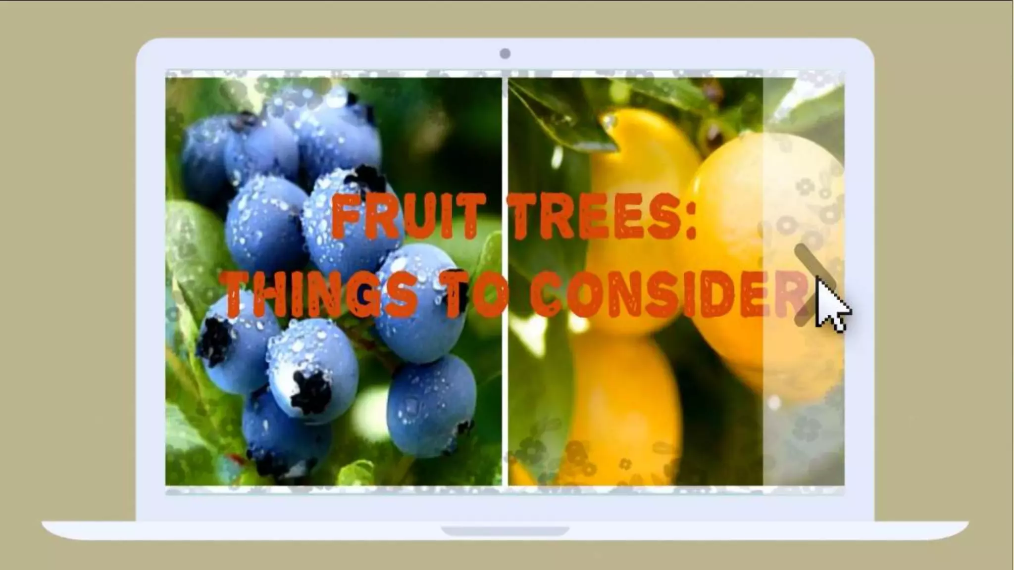 Top topiary - Things To Consider When Planting Fruit Trees | PPTX