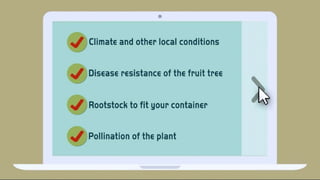 Top topiary - Things To Consider When Planting Fruit Trees | PPTX