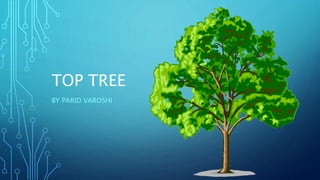 Top tree | PPT