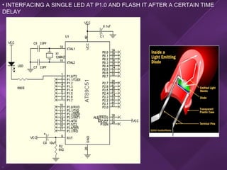 Topviewsimulator | PPT