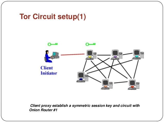 Tor the onion router