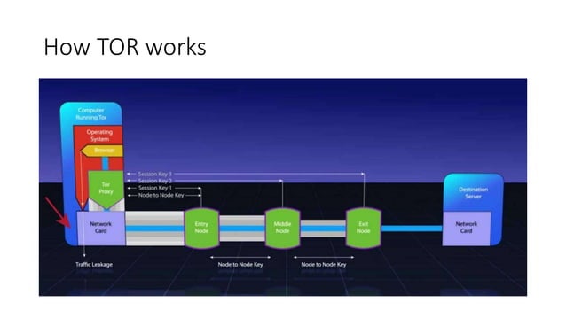 Tor the onion router | PPT