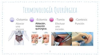 Toracostomia cerrada y toracocentesis | PPTX