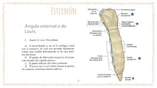 Toracostomia cerrada y toracocentesis | PPTX