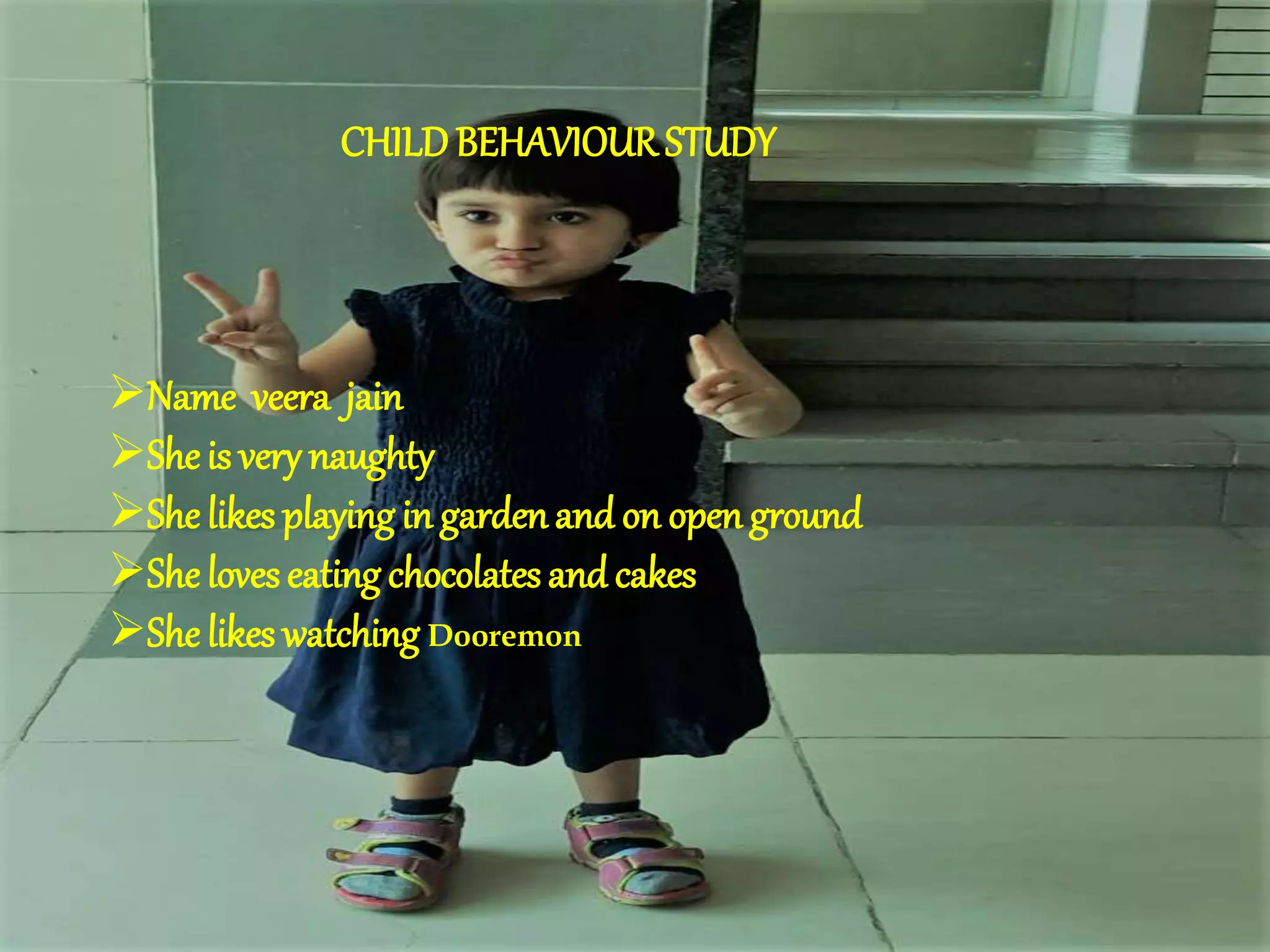 knock off project ppt | PPTX