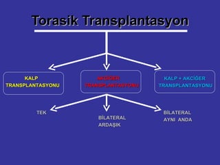 Torasik Transplantasyon | PPT