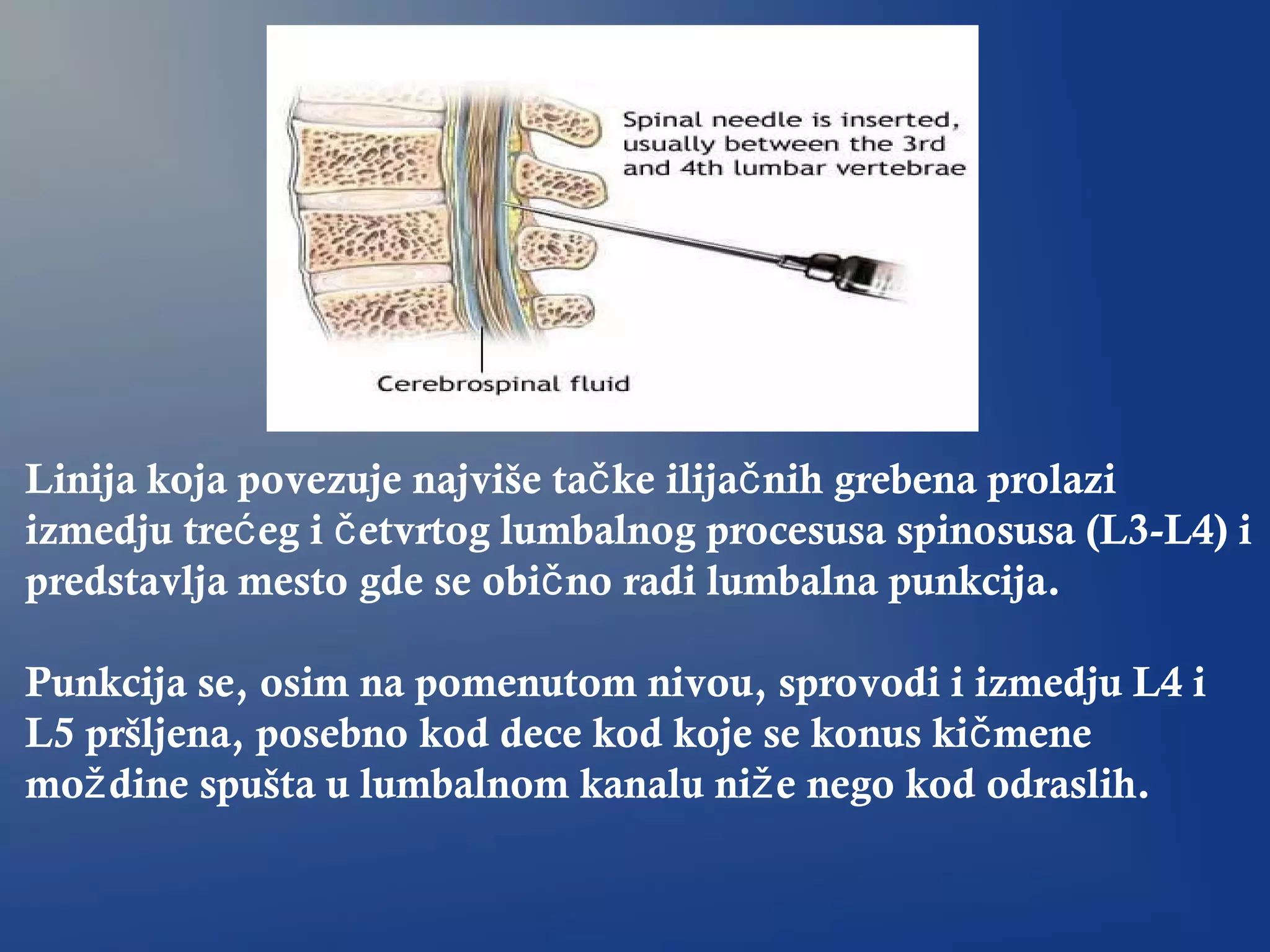Kosti trupa i grudnog koša | PPT