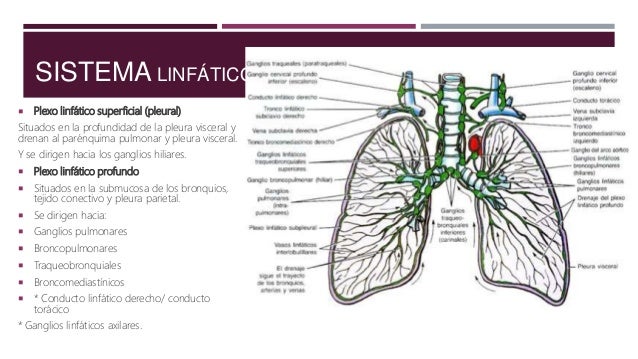 Historia y Diagnóstico Físico del Tórax/ Thorax´s History and Physica…