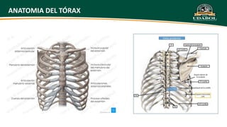 TORAX.pptx