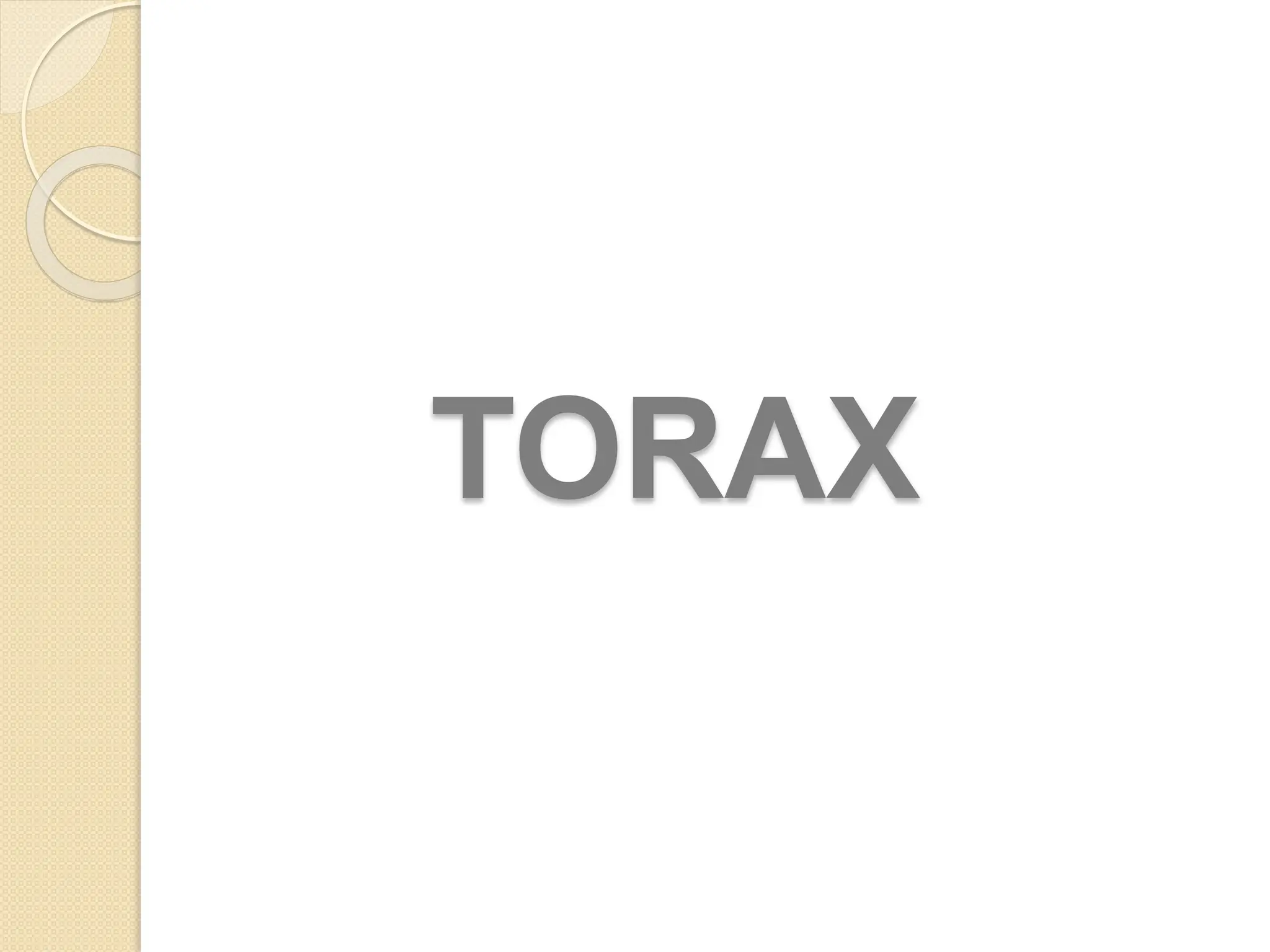 Entomologia, morfologia de los insectos,Torax.pptx