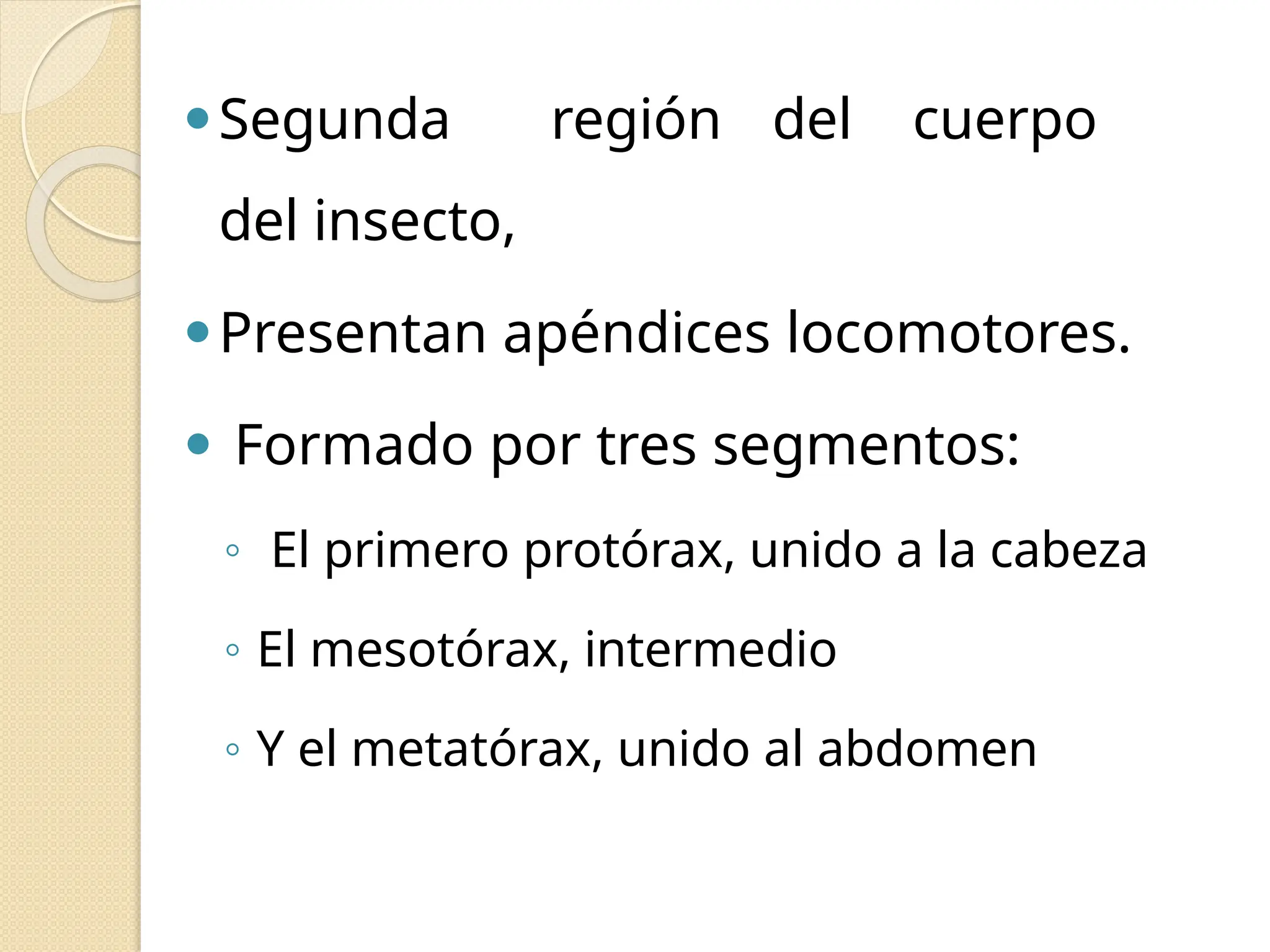 Entomologia, morfologia de los insectos,Torax.pptx