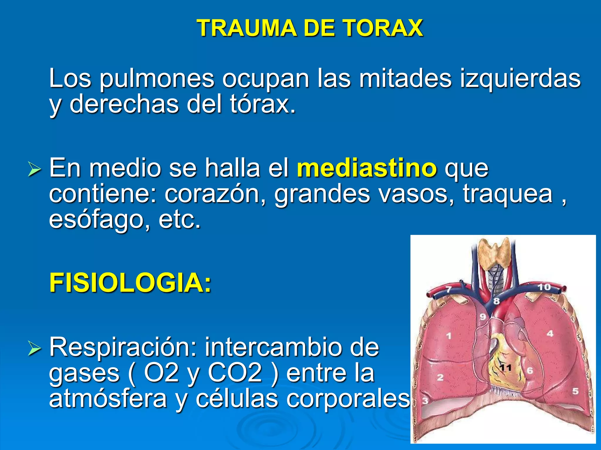 TORAX - TRAUMA DE.ppt