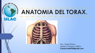 ANATOMIA DEL TORAX. CLASE EXPOSITIVA.pptx