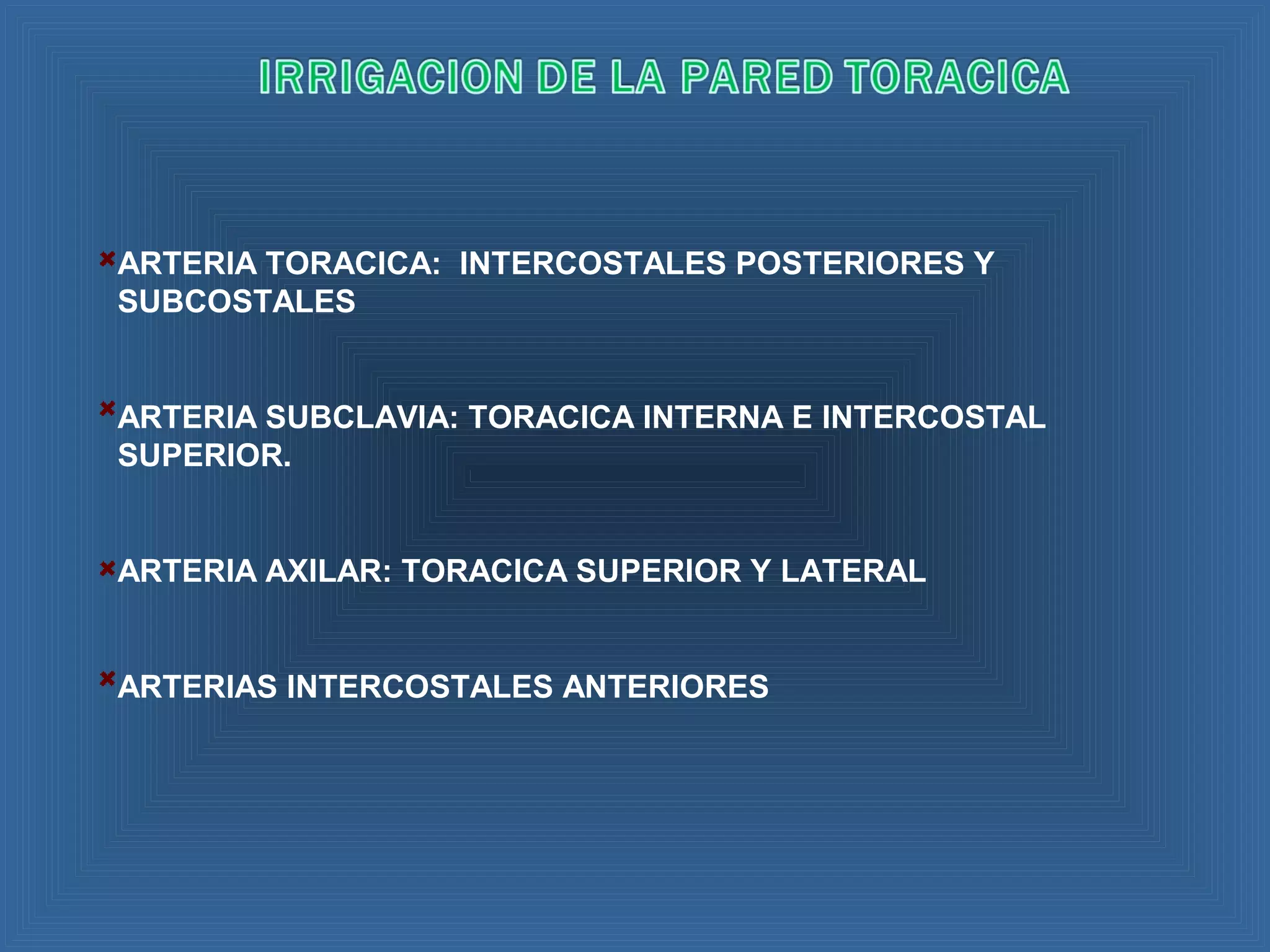 Torax iv (musculos y vascularizacion) | PPT