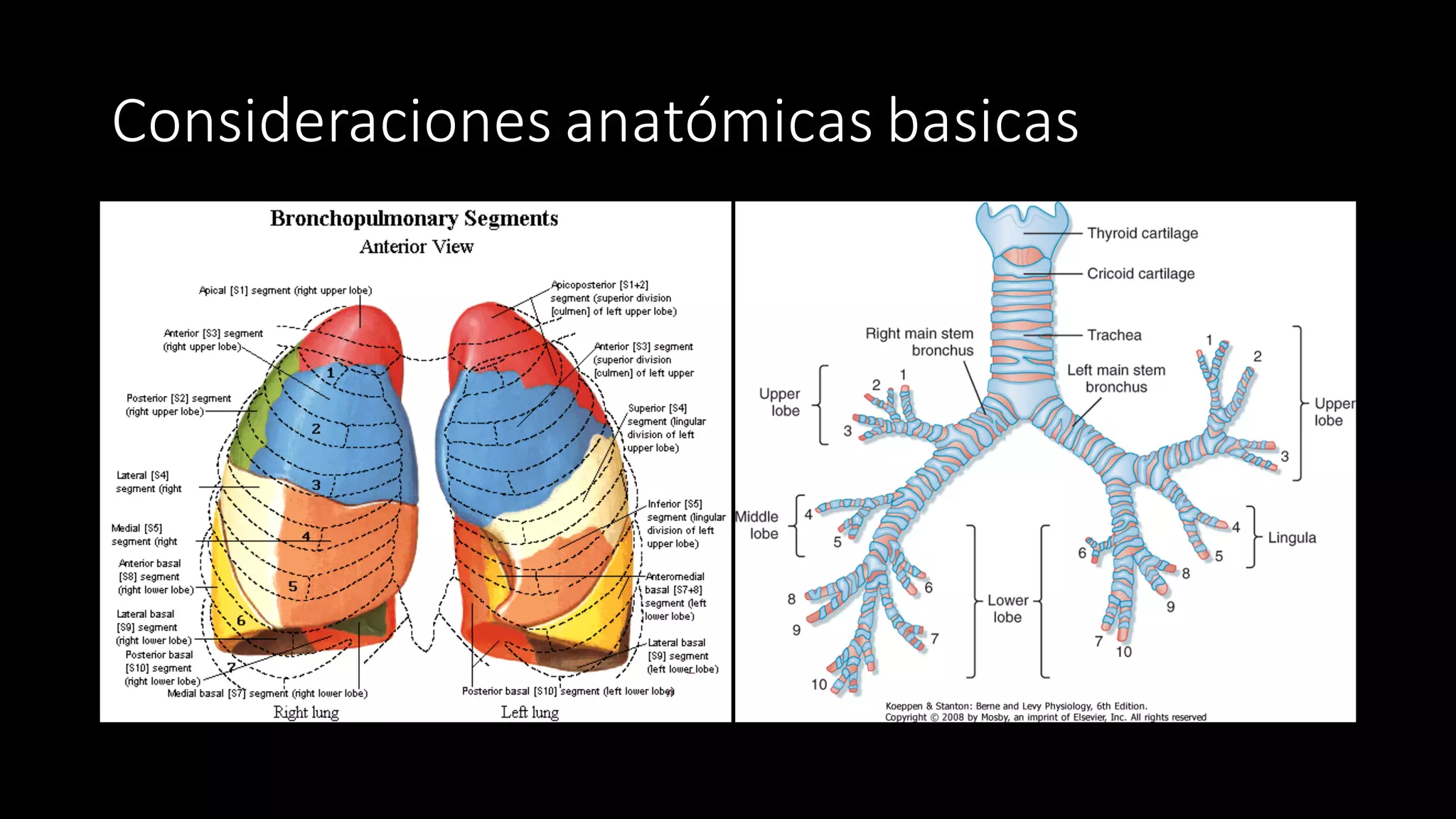 RAYOS X DE TORAX (INTRODUCCIÓN) FÍSICA Y POSICIONES | PDF