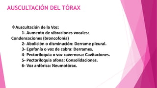 Torax pulmonar en niños | PPTX
