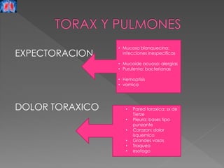 SEMIOLOGIA DE TORAX Y PULMONES | PPTX