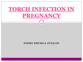 Torch infection in pregnancy | PPTX