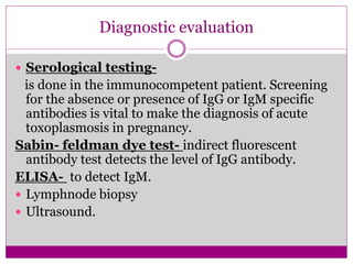 Torch infection in pregnancy | PPTX