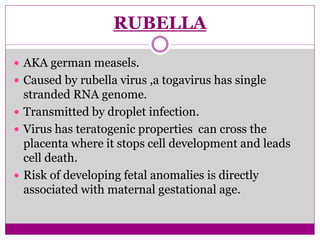 Torch infection in pregnancy | PPTX