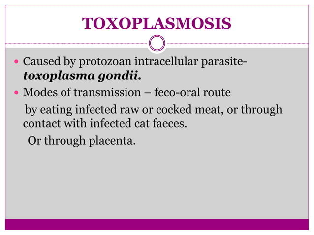Torch infection in pregnancy | PPTX