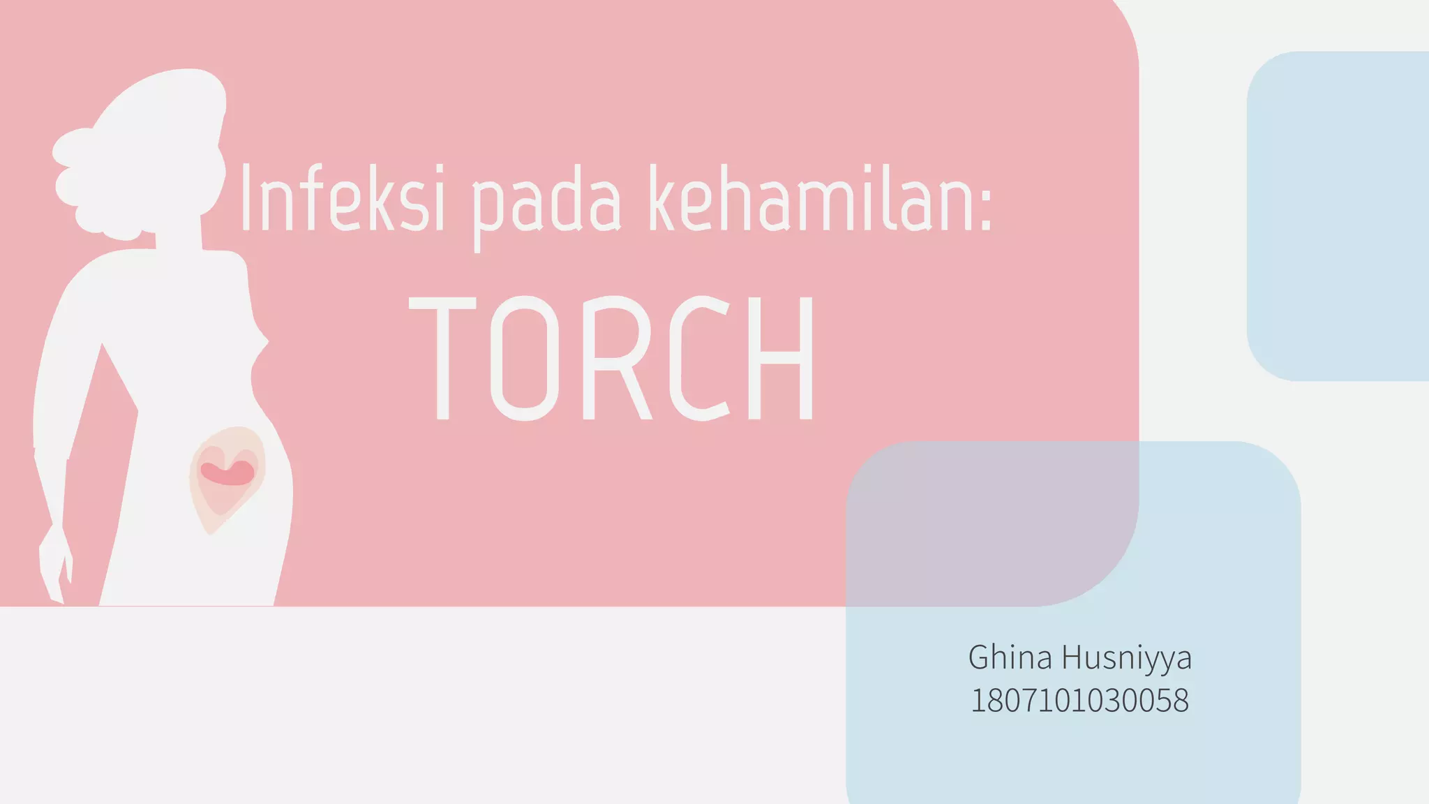torch.pdf