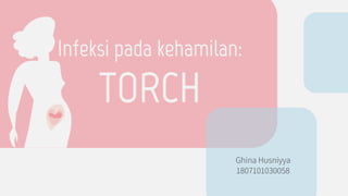 torch.pdf