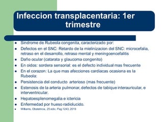 TORCH infección del grupo torch medicina | PDF