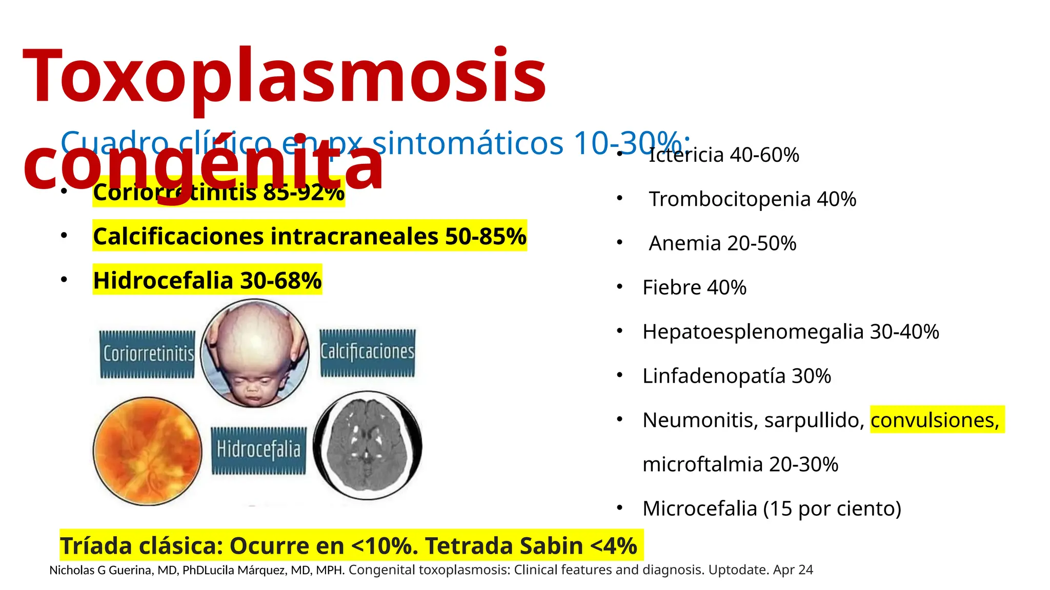 TORCH TOXOPLASMA OTROS RUBEOLA CMV HERPES SIMPLE | PPTX