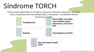 TORCH TOXOPLASMA OTROS RUBEOLA CMV HERPES SIMPLE | PPT