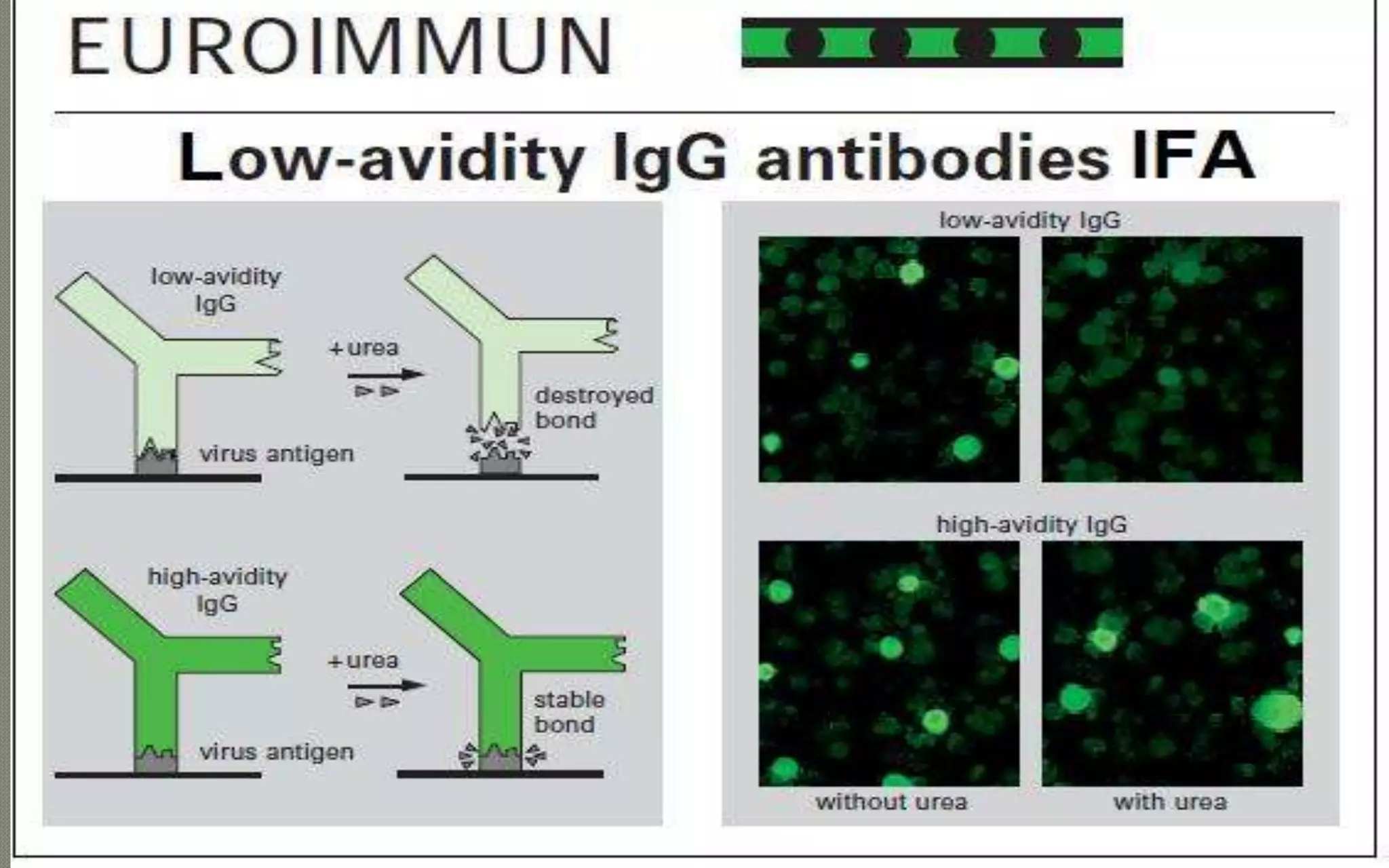 Torch complex PART-1 | PPSX